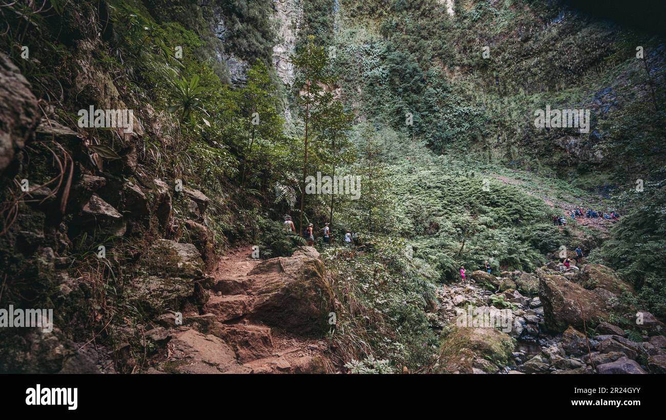 The hikers walk along a rugged mountain trail in a lush forest, with ...