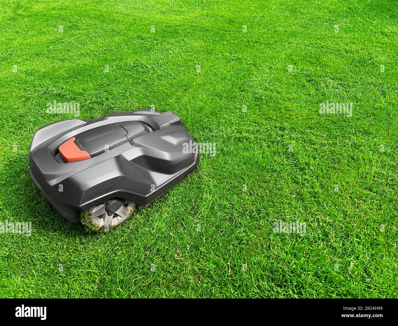 Modern robot lawn mower on green grass in garden Stock Photo - Alamy