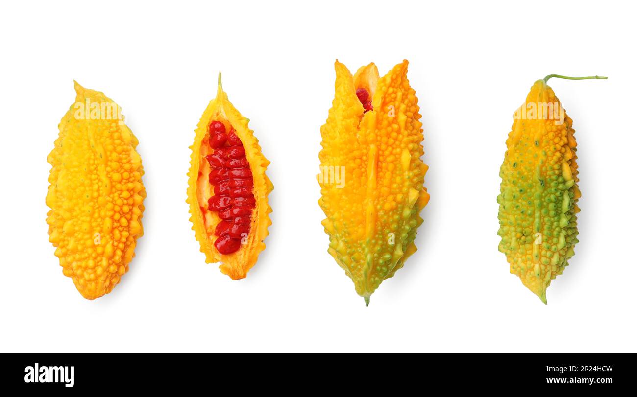 Whole and cut ripe bitter melons on white background, top view Stock ...