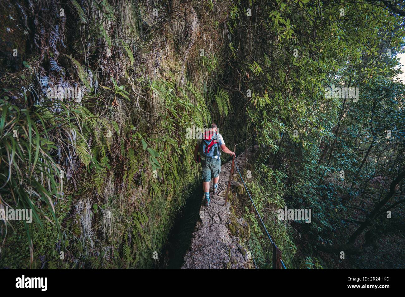 The hikers walk along a rugged mountain trail in a lush forest, with ...