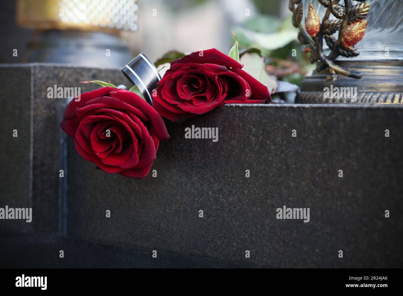 Red roses and grave light on grey granite tombstone outdoors, space for text. Funeral ceremony ...
