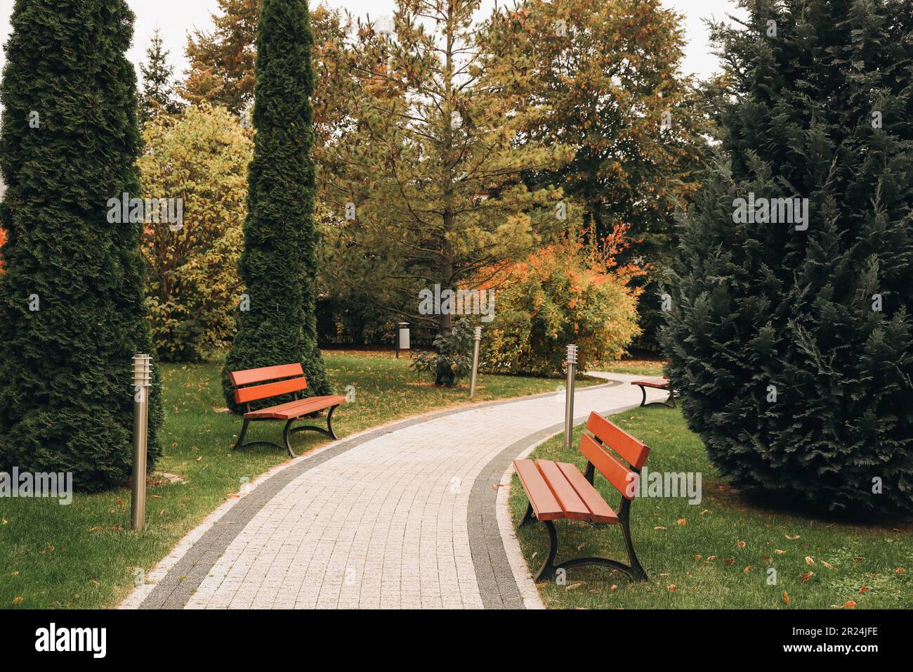 Winding pathway with beautiful bushes and benches in park Stock Photo ...