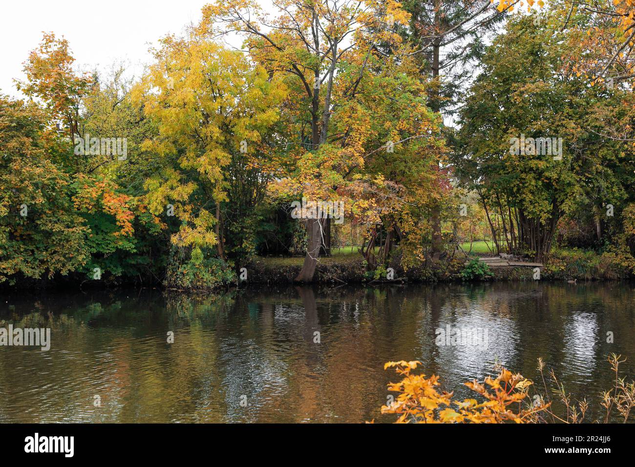 Picturesque view of river and trees in beautiful park. Autumn season ...