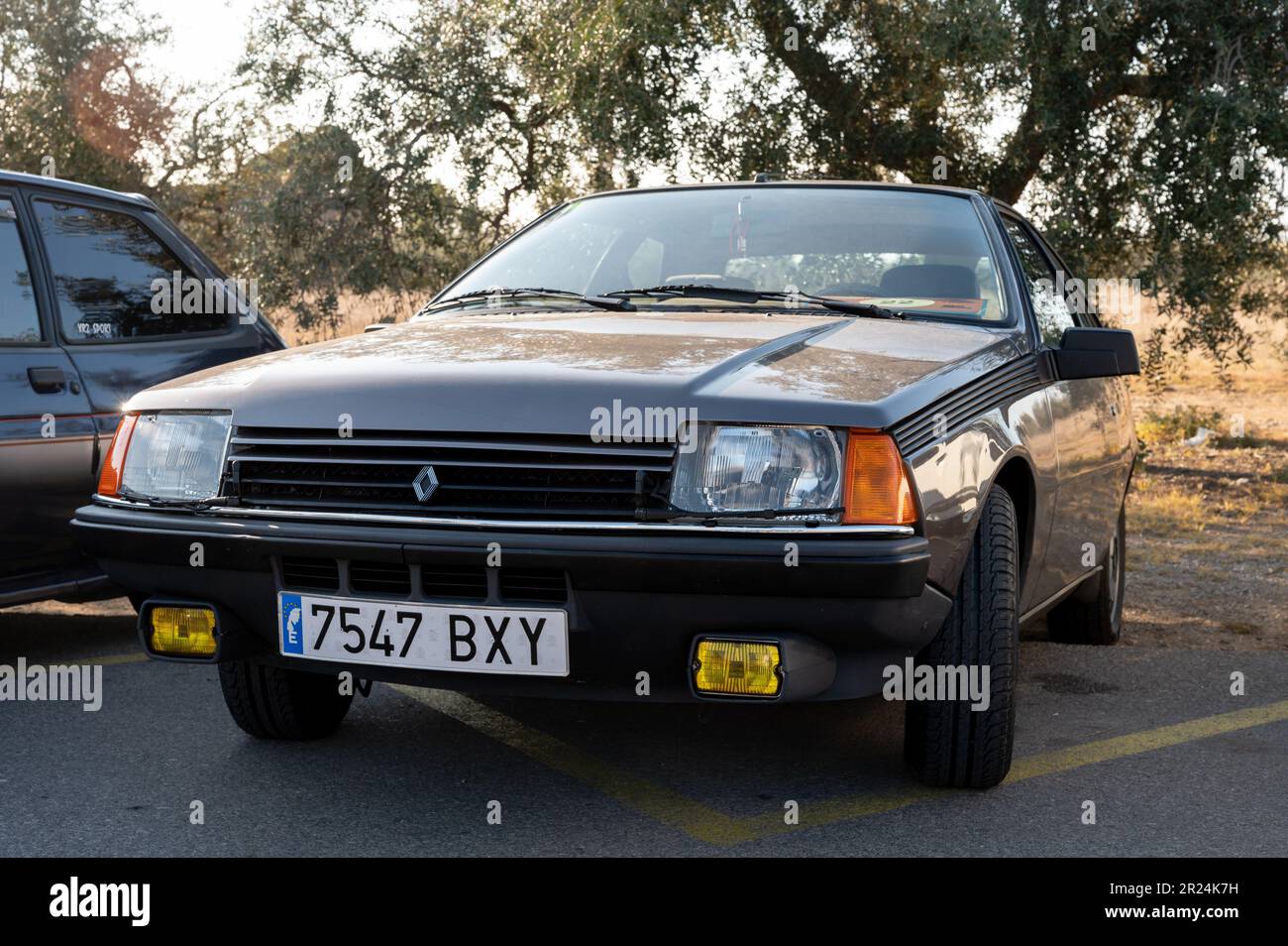 Detail of a classic French sports car, the Renaul Fuego parked in the ...