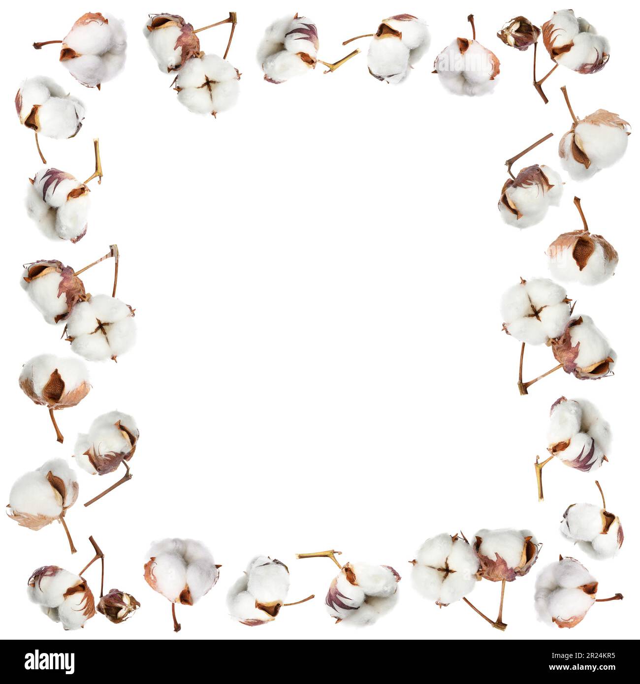 Frame different dry flowers hi-res stock photography and images - Alamy