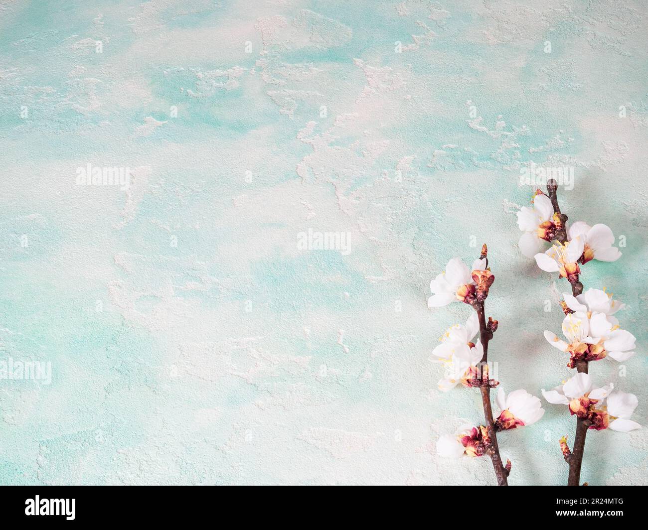 Light Turquoise Background