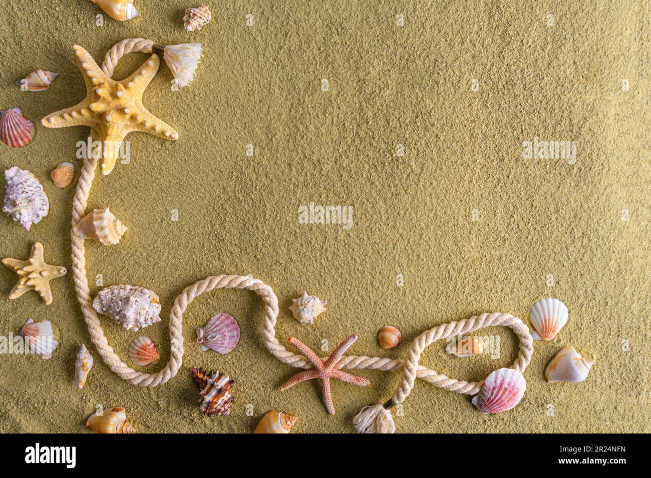 Shells procedure hi-res stock photography and images - Alamy