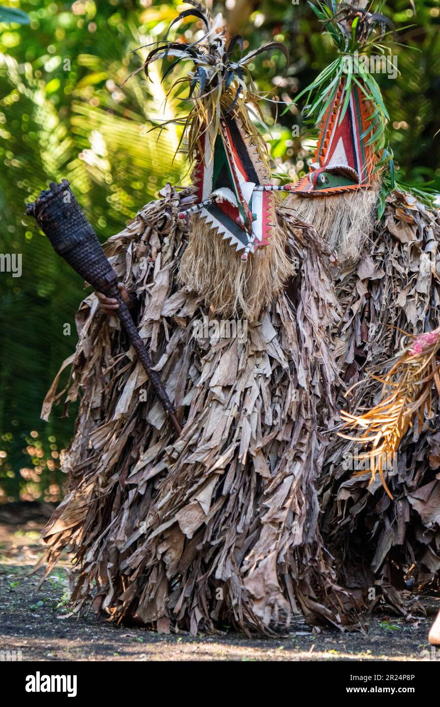 Melanesia, Vanuatu, Ambrym Islands, village of Ranon. Traditional "Rom ...