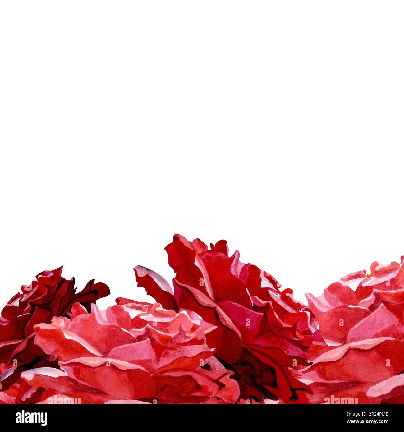 Watercolour flower border hi-res stock photography and images - Alamy