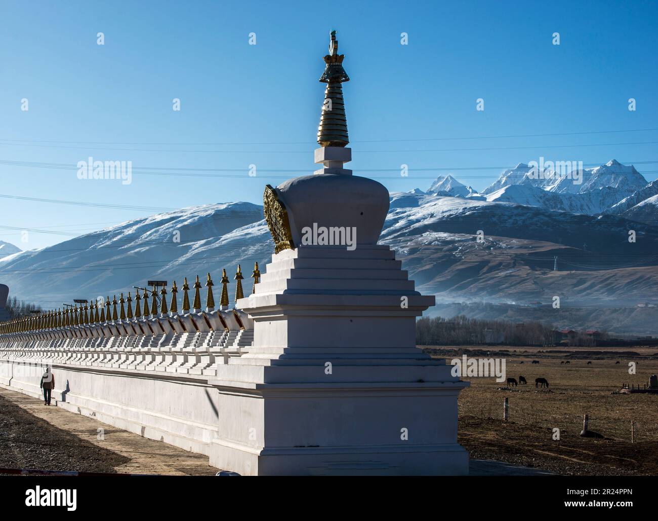 buddhist stupa in the himalayas Stock Photo - Alamy