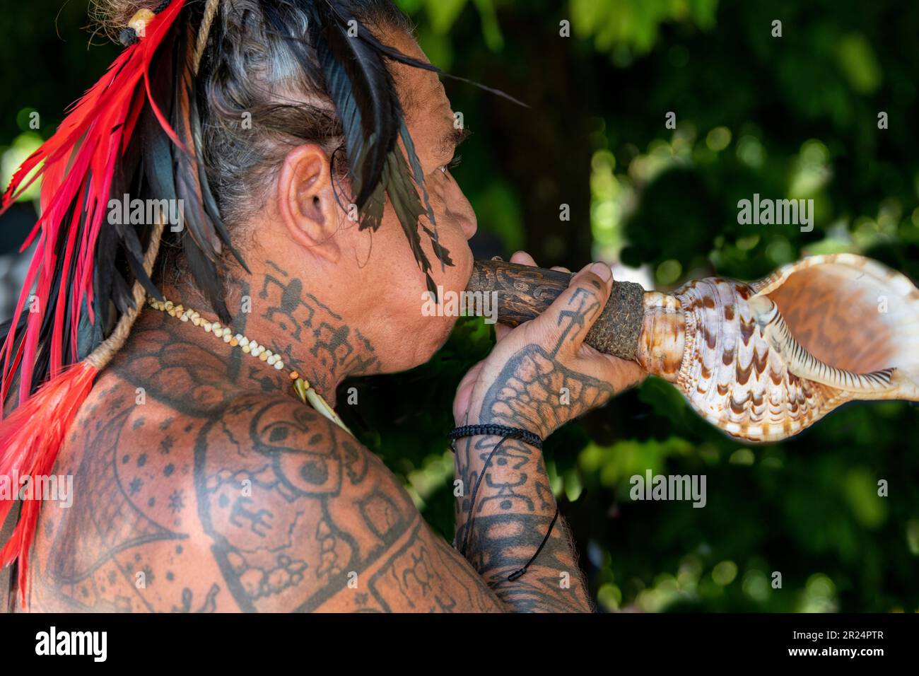 Shell Traditional Tattoos Sea Shell Tattoo – Best Tattoo Ideas