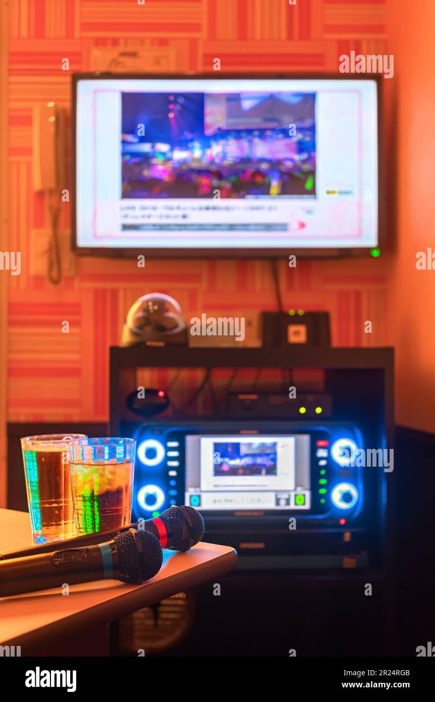 Japanese Karaoke Party