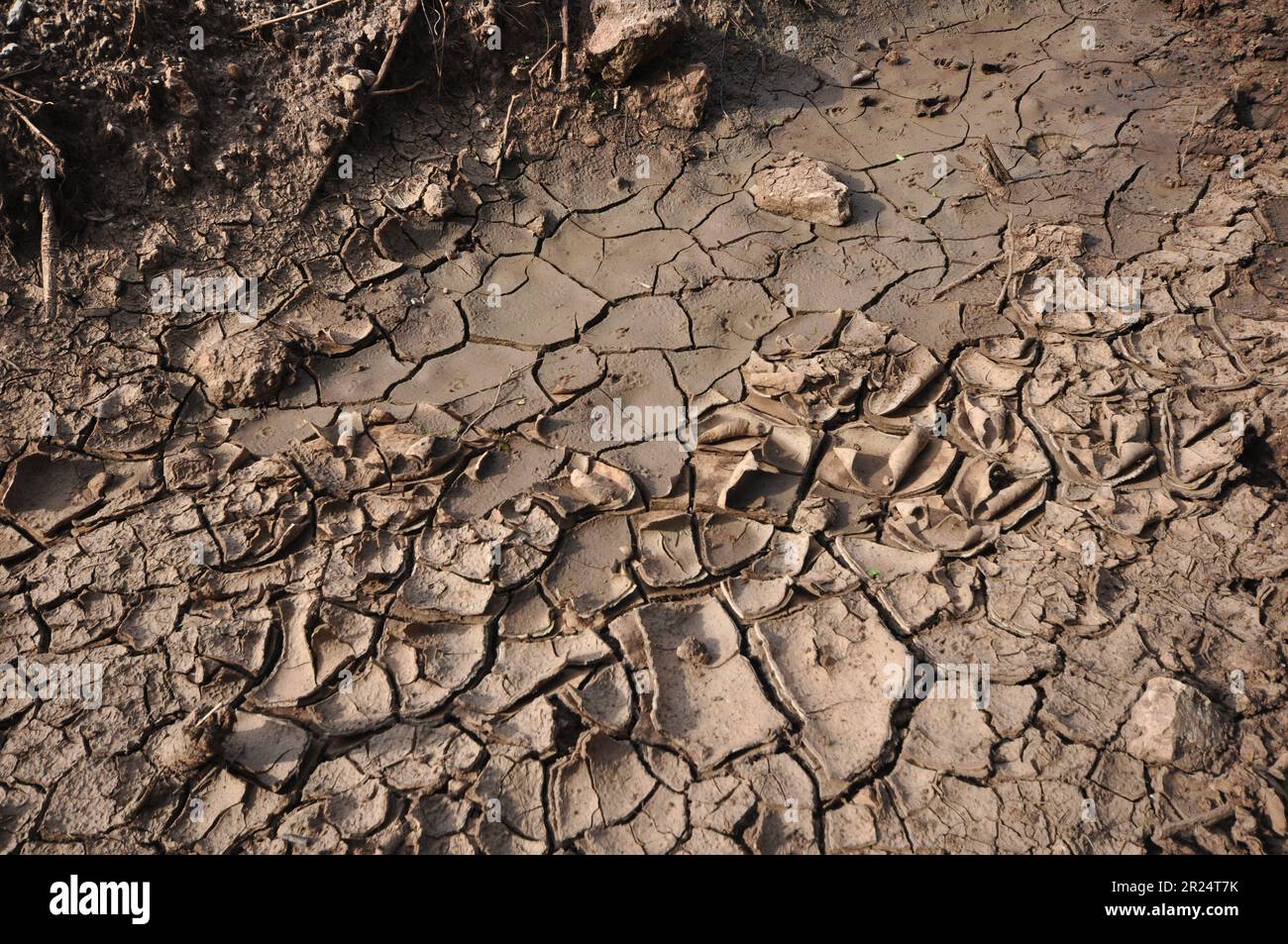 Soil with dry mud after rain with water seeping into the ground ...