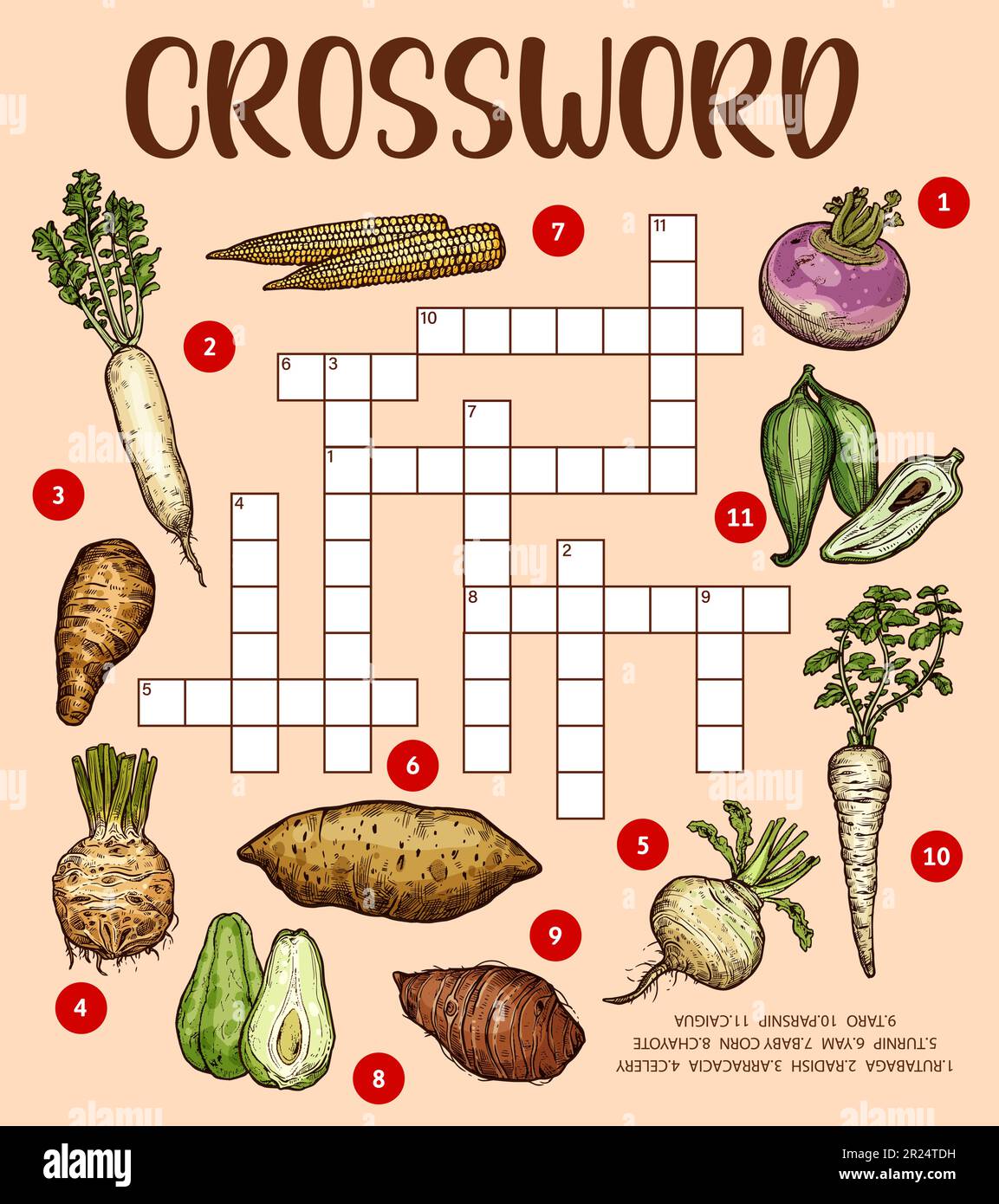 Raw isolated vegetable sketches. Crossword puzzle worksheet. Word quiz ...