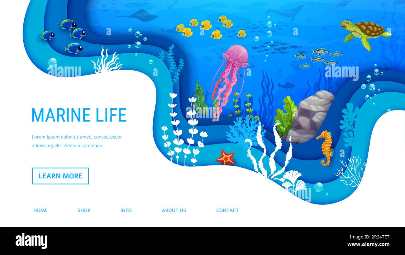 Landing page cartoon sea turtle, jellyfish and tropical fish shoal on ...