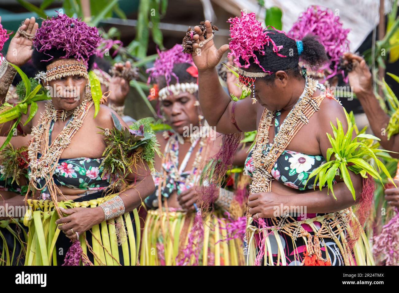 Solomon Islands, Santa Ana aka Owaraha, village of Ghupuna. Traditional ...