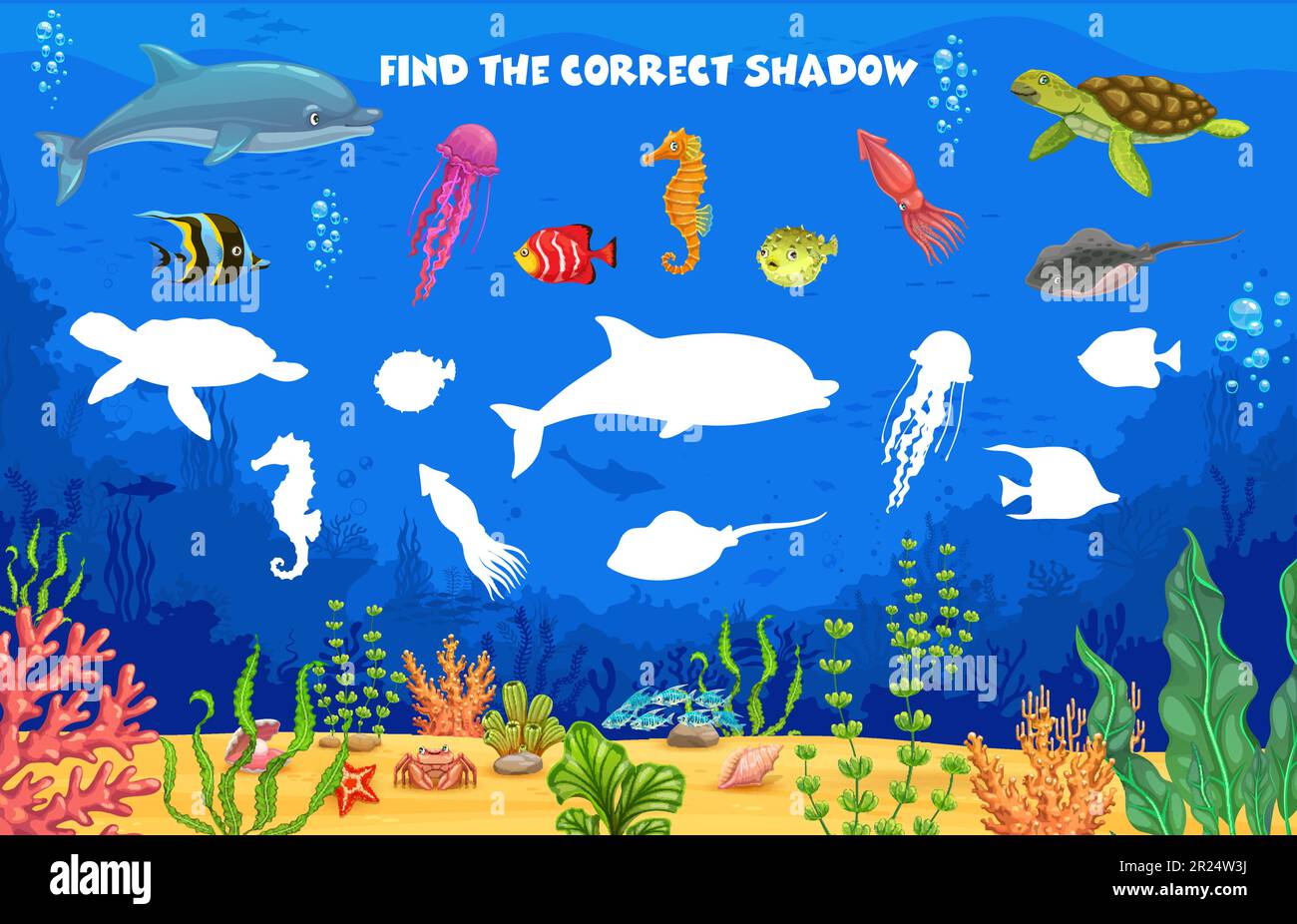 Find the correct shadow of cartoon sea underwater animals and fish ...