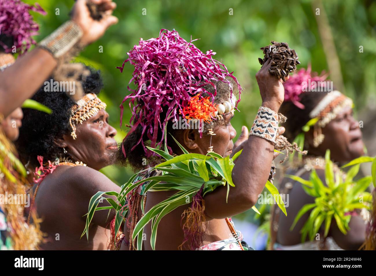 Solomon Islands, Santa Ana aka Owaraha, village of Ghupuna. Traditional ...