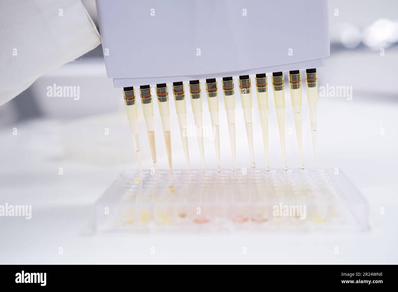 The filling of microplates for blood test testing is accomplished by ...