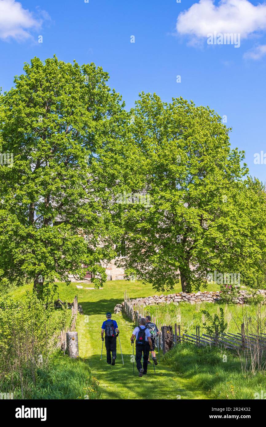 People walking on a path with a picket fence Stock Photo - Alamy