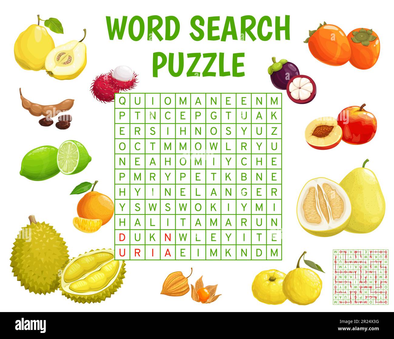 Cartoon tropical raw fruits. Word search puzzle game worksheet ...