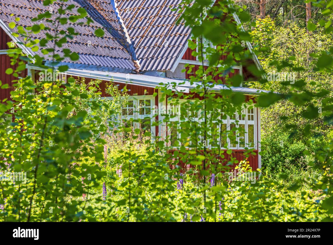 Red idyllic cottage with a veranda in a lush garden Stock Photo - Alamy