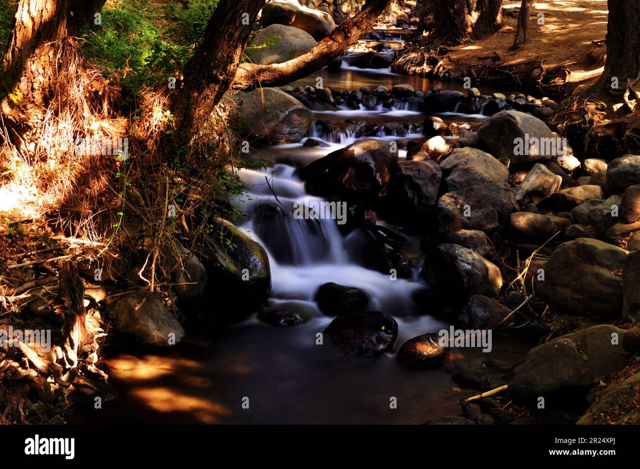 Beautiful stream captured in a long exposure photo in the forest of ...