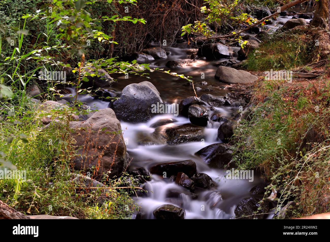 Beautiful stream captured in a long exposure photo in the forest of ...
