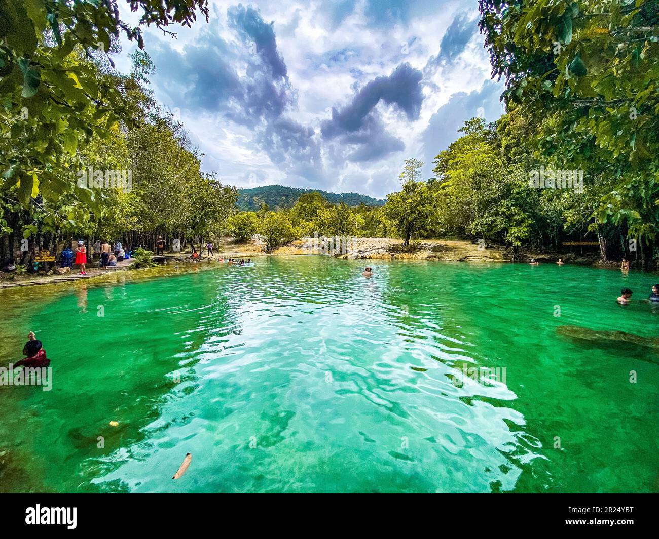 Emerald Pool in Krabi rainforest and mangrove trees, Thailand. Crystal ...