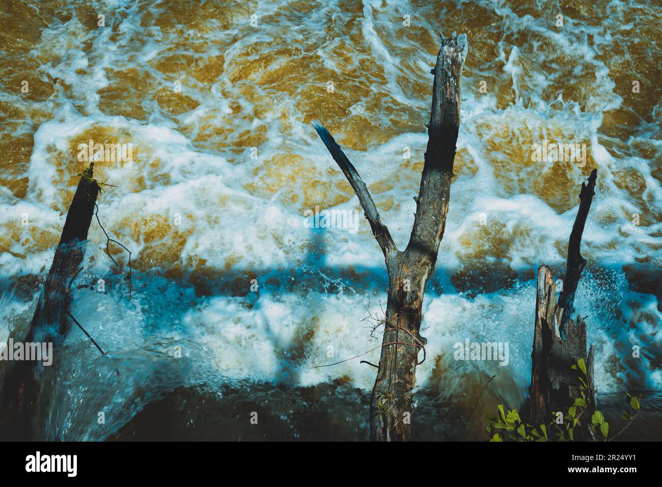 wooden logs above the foaming waters of the river Stock Photo - Alamy