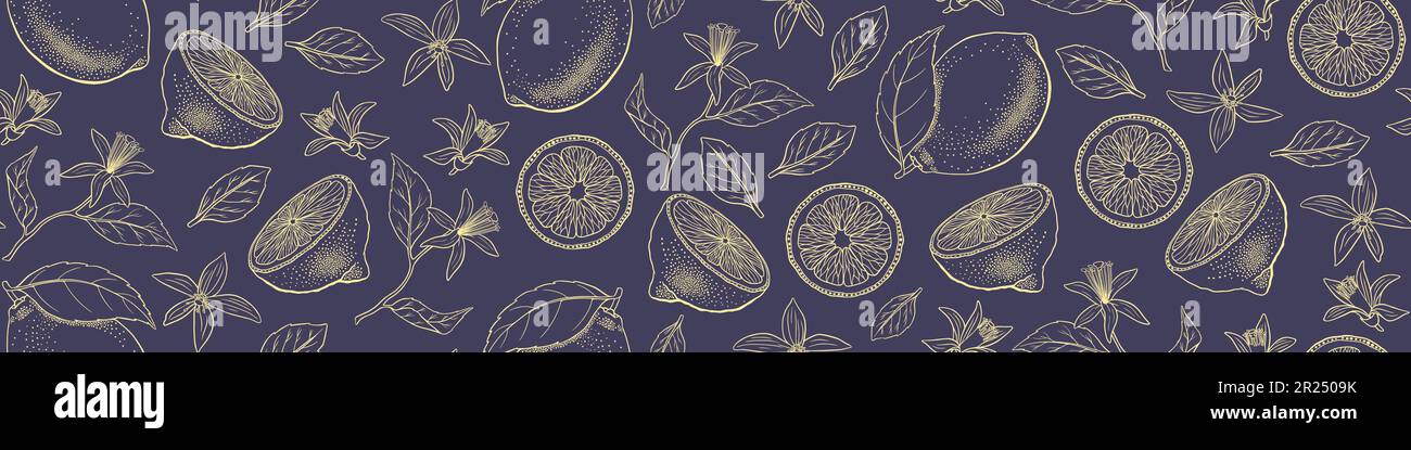 Hand drawn lemon seamless pattern. Outline citrus fruit with flowers and leaves. Vector ...