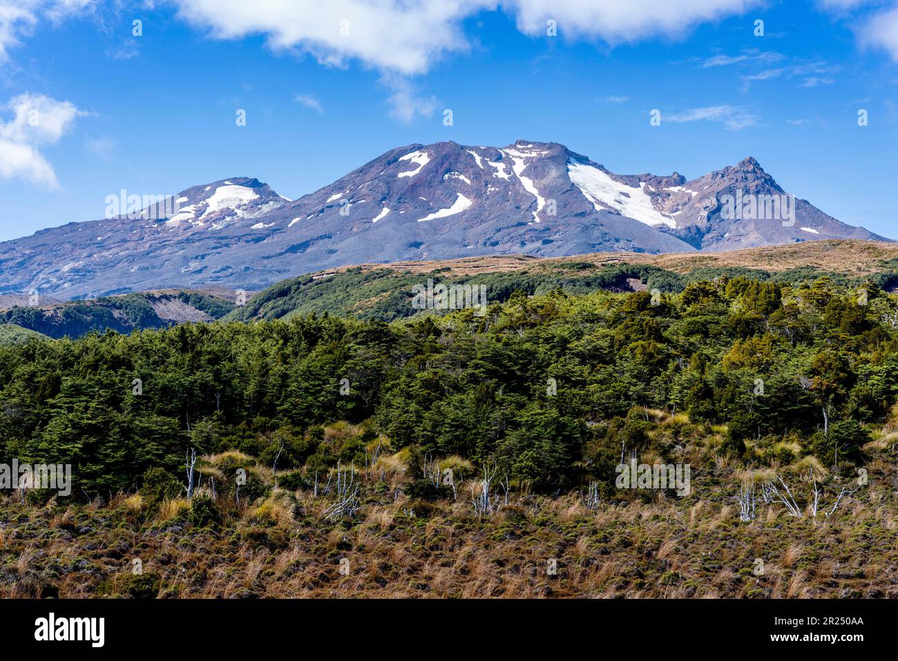 A View of Mt Ruapehu Taken On The Waitonga Falls Track, Ohakune, North ...