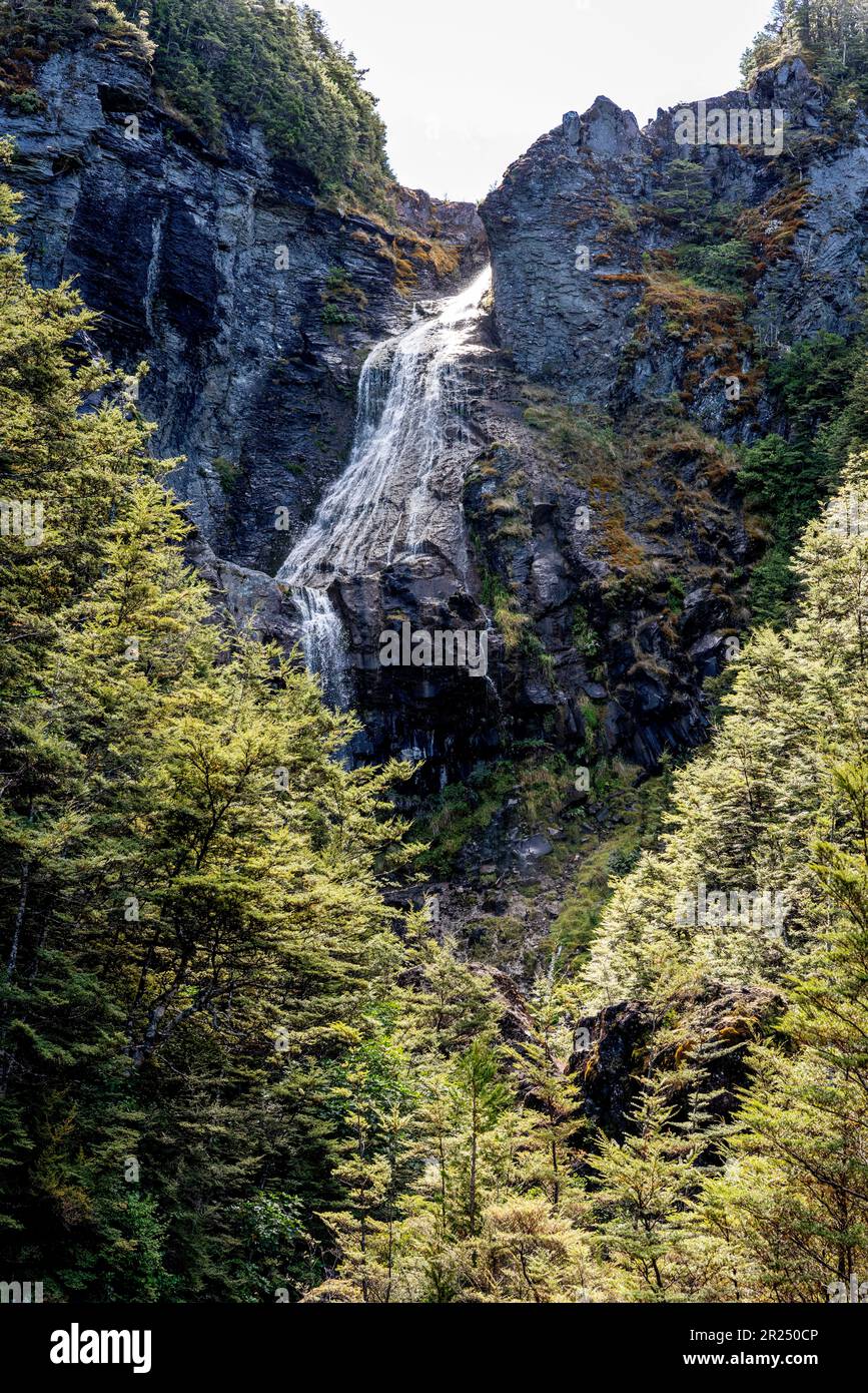 The Waitonga Falls At The End Of The Waitonga Falls Track, Ohakune ...