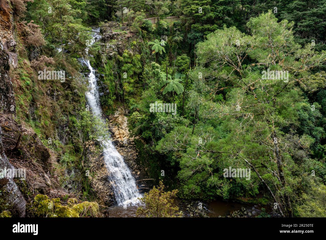 Paranui falls hi-res stock photography and images - Alamy