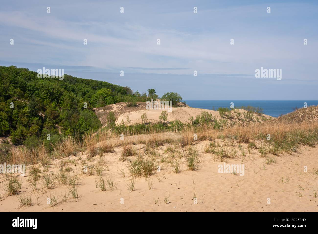 Sand dunes in the morning sun. Warren Dunes state Park, Michigan, USA ...