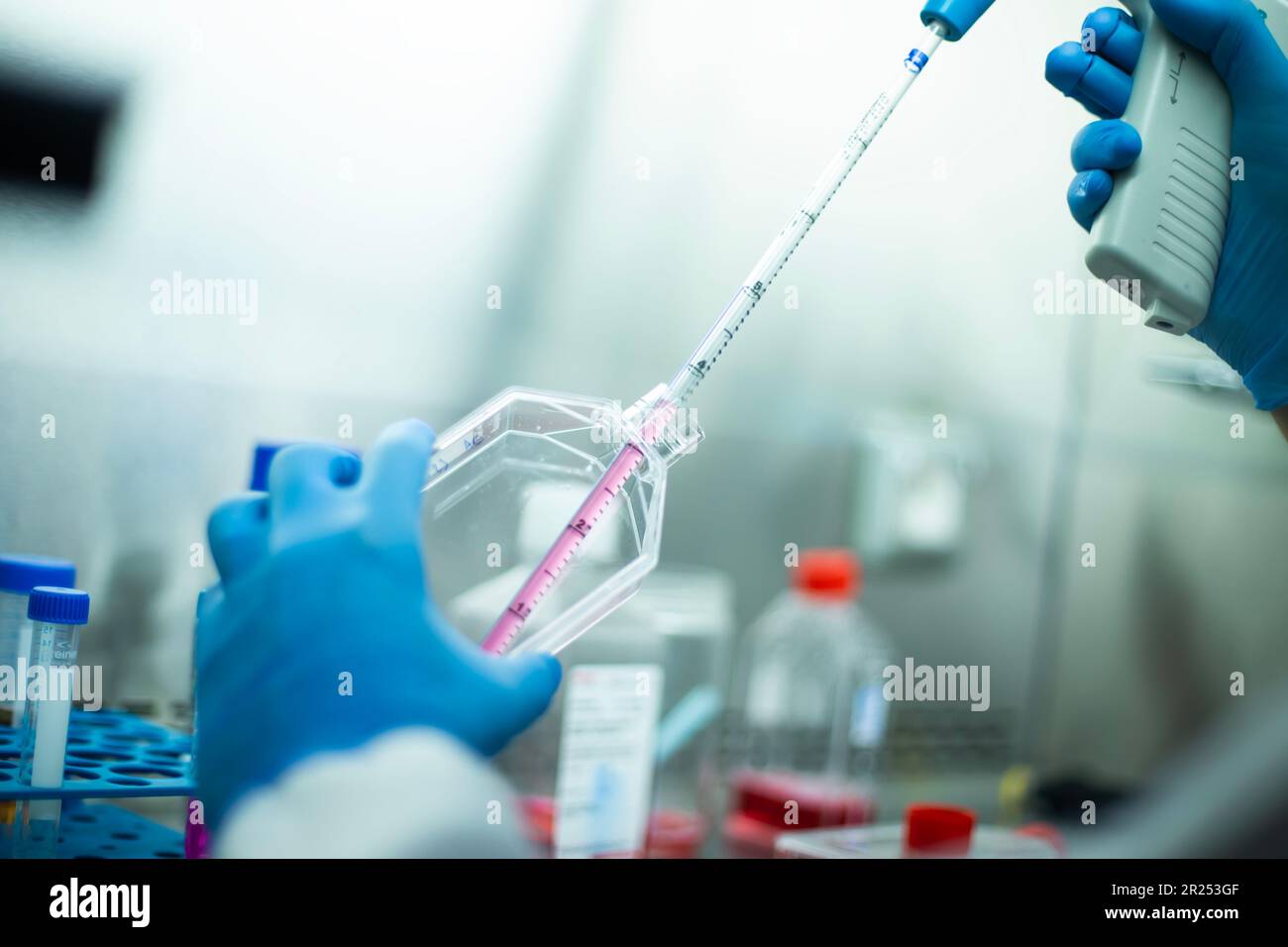 cell culture media Stock Photo - Alamy