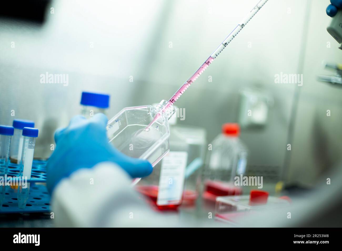 cell culture media Stock Photo - Alamy