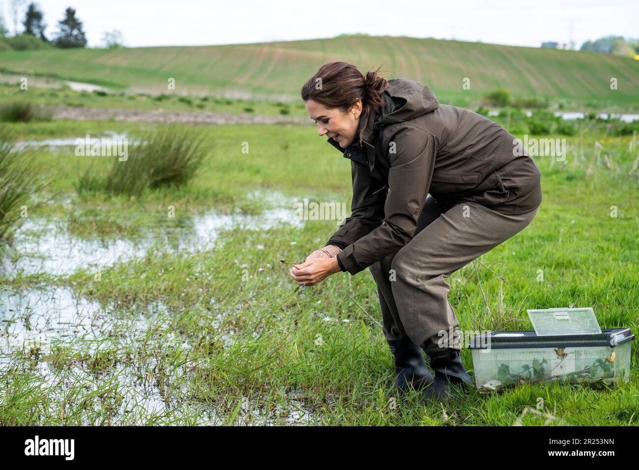 Crown Princess Mary takes part in the counting of Denmark's smallest ...