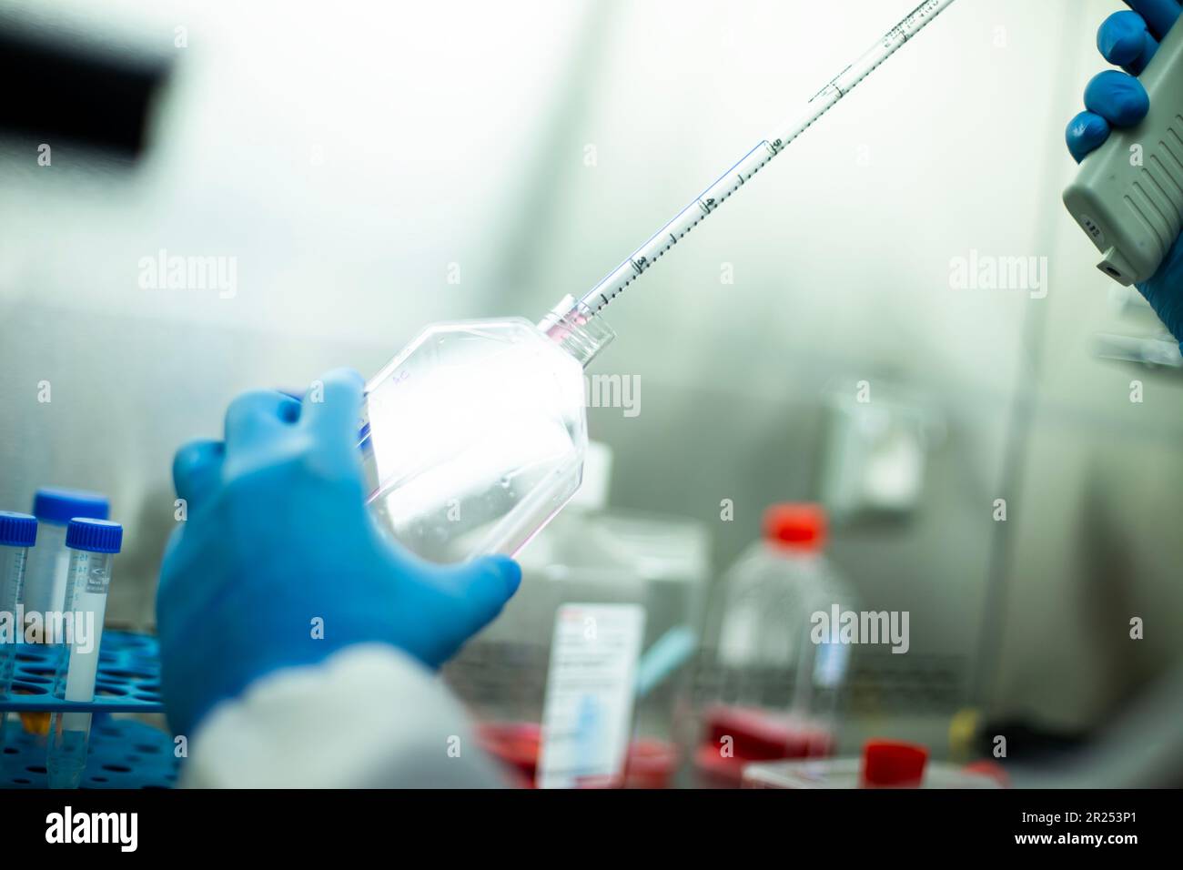 cell culture media Stock Photo - Alamy