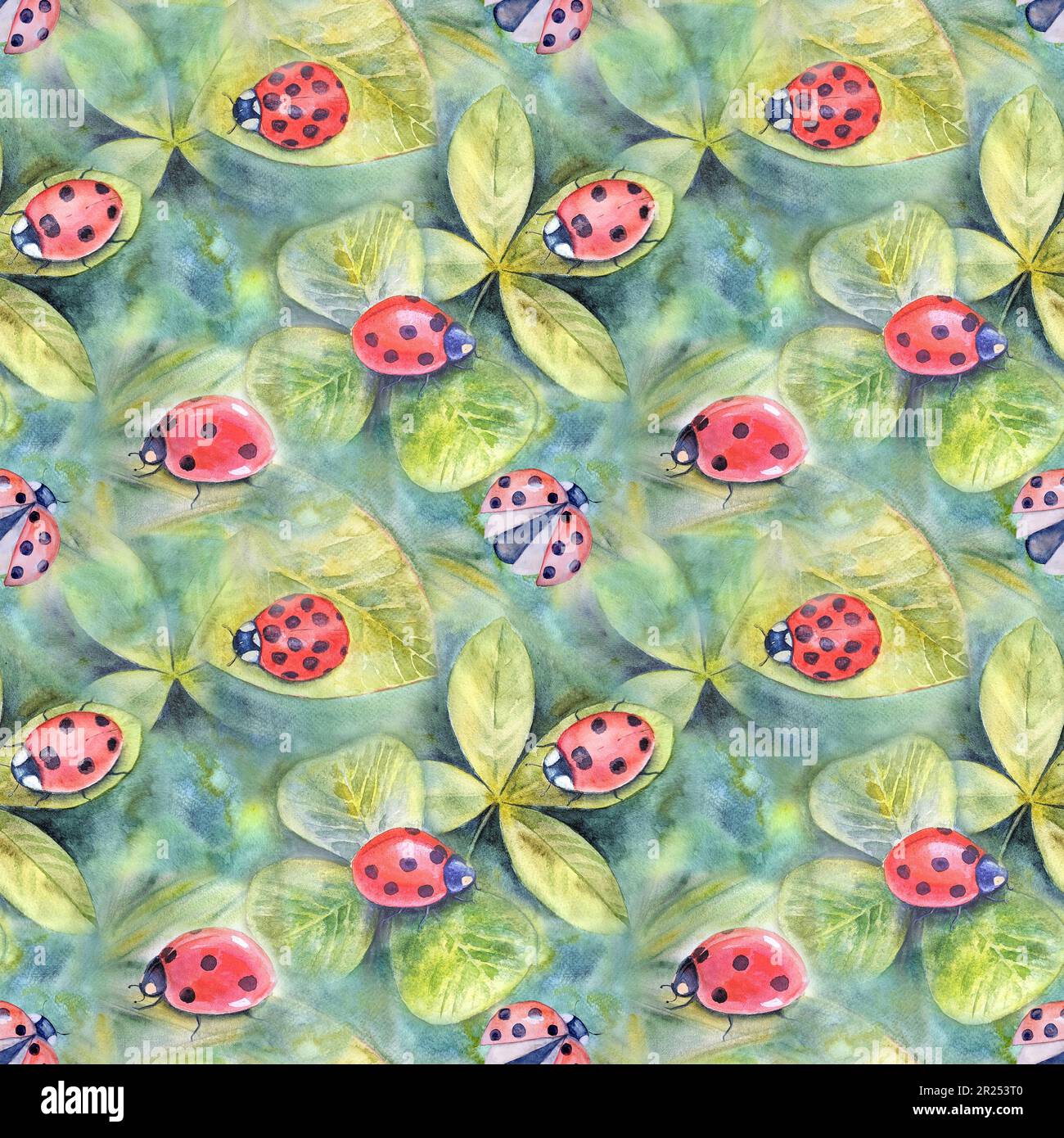 Colourful ladybugs hi-res stock photography and images - Alamy