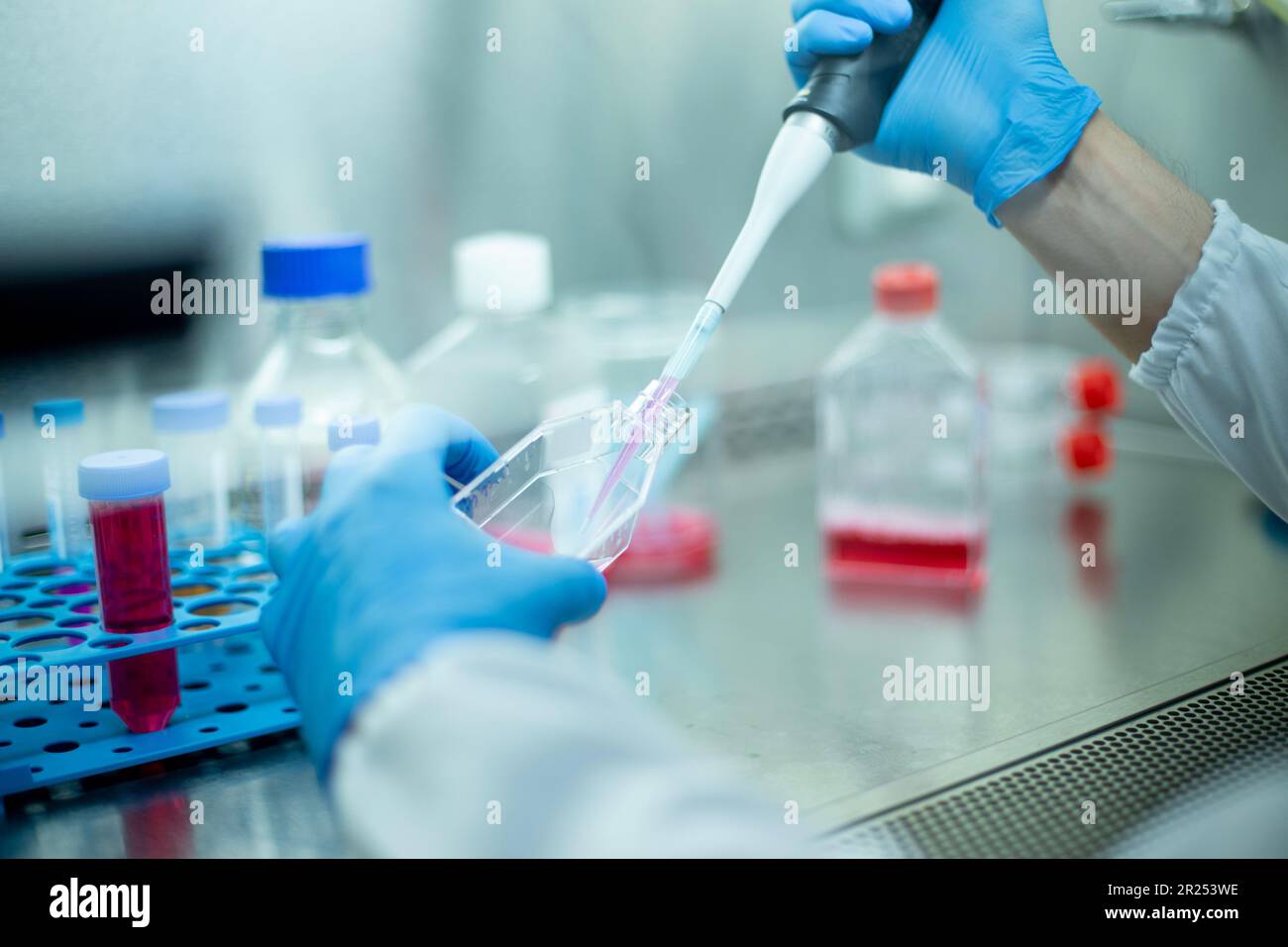 cell culture media Stock Photo - Alamy