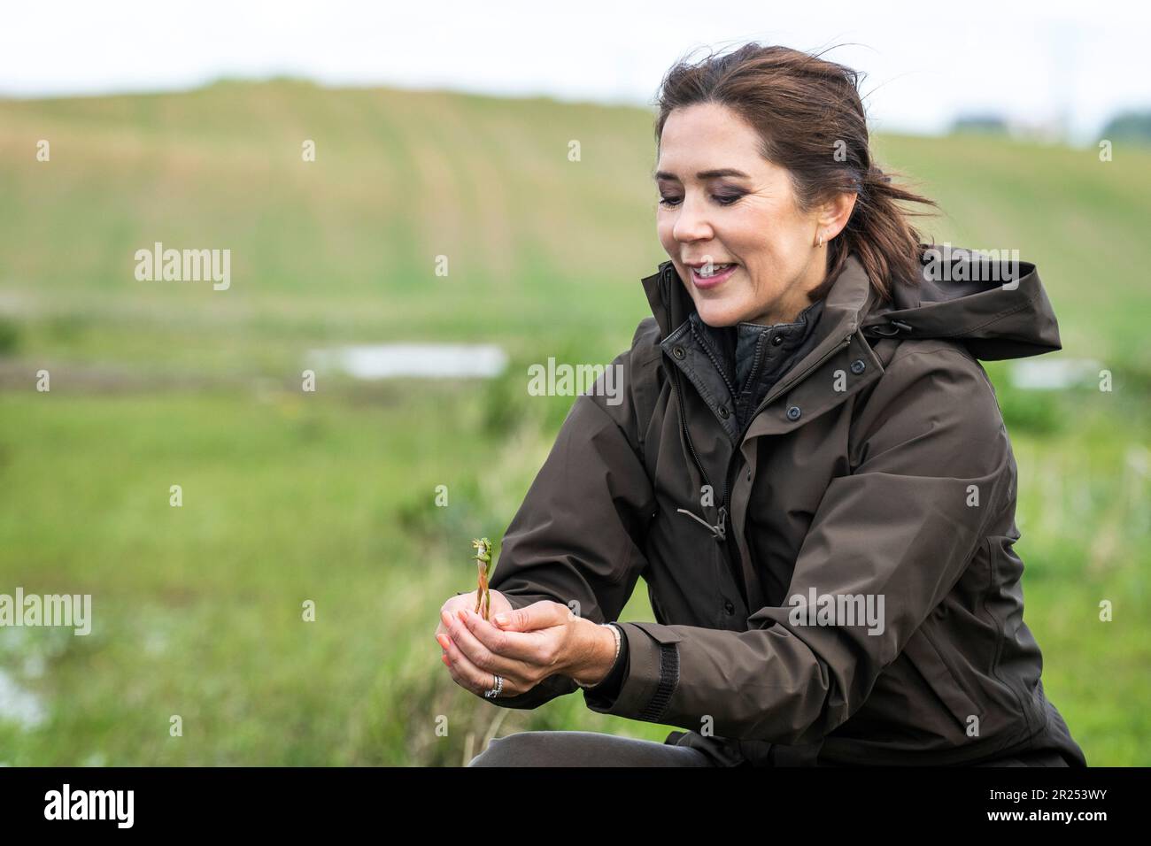 Crown Princess Mary takes part in the counting of Denmark's smallest ...