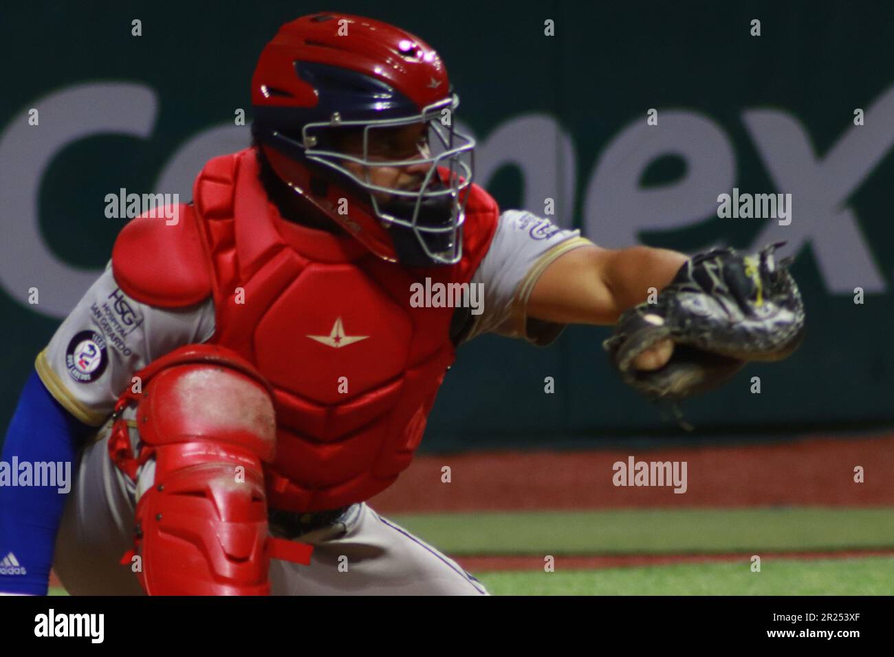 Tecolotes baseball hi-res stock photography and images - Alamy