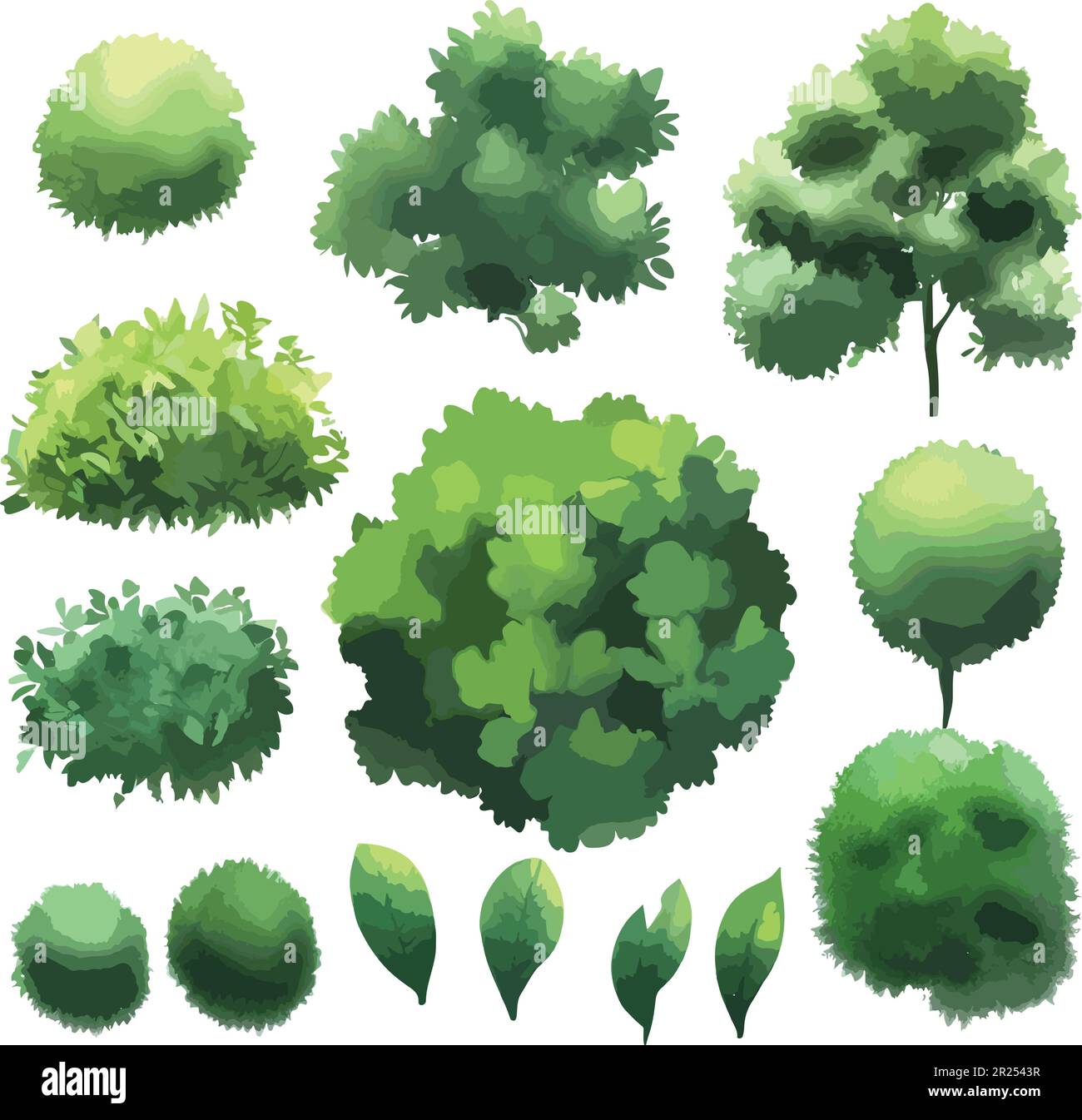 Extraordinary trees bushes shrubs top view vector Stock Vector Image ...