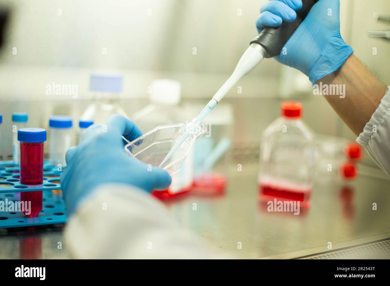 cell culture media Stock Photo - Alamy