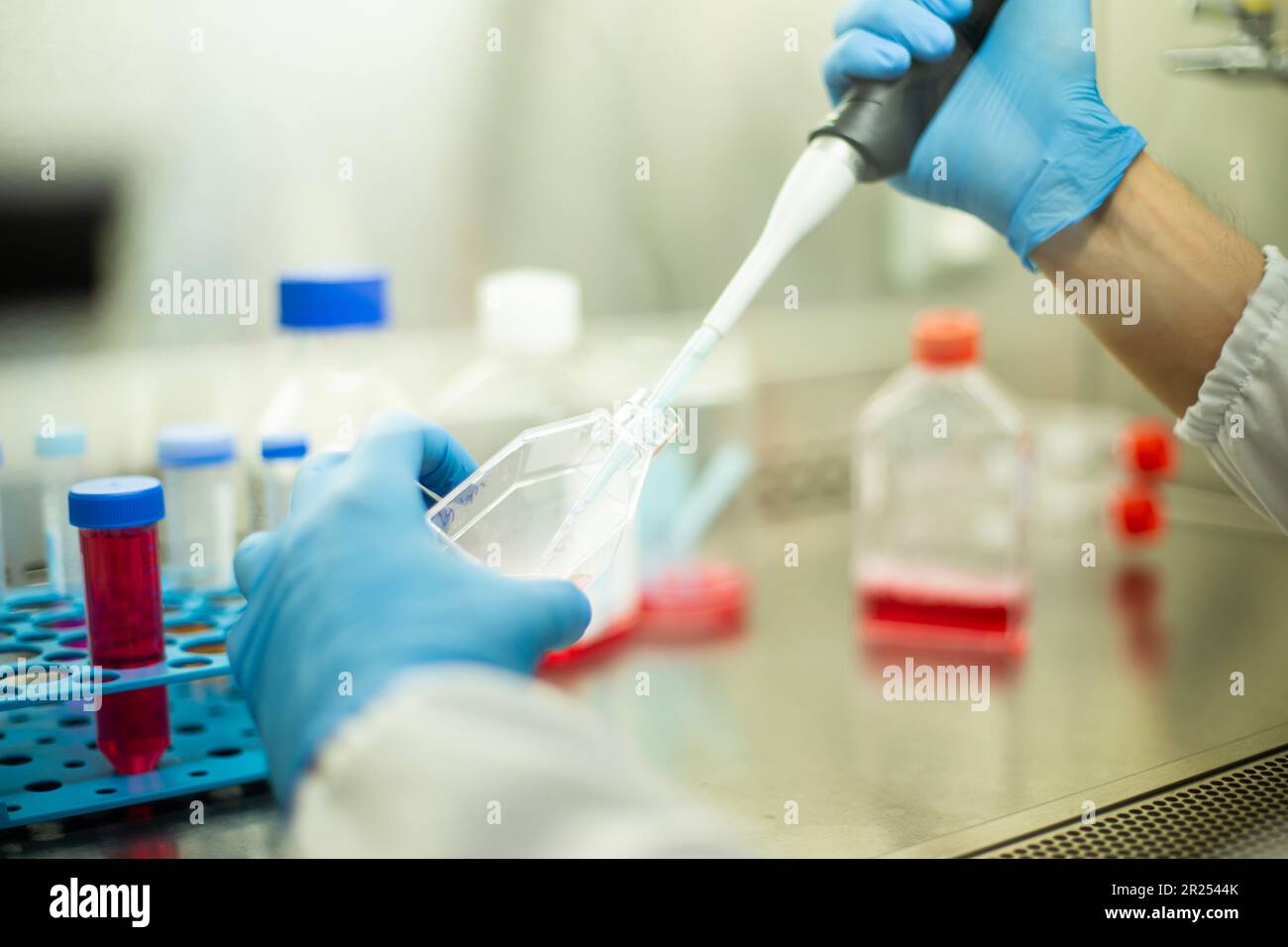 cell culture media Stock Photo - Alamy