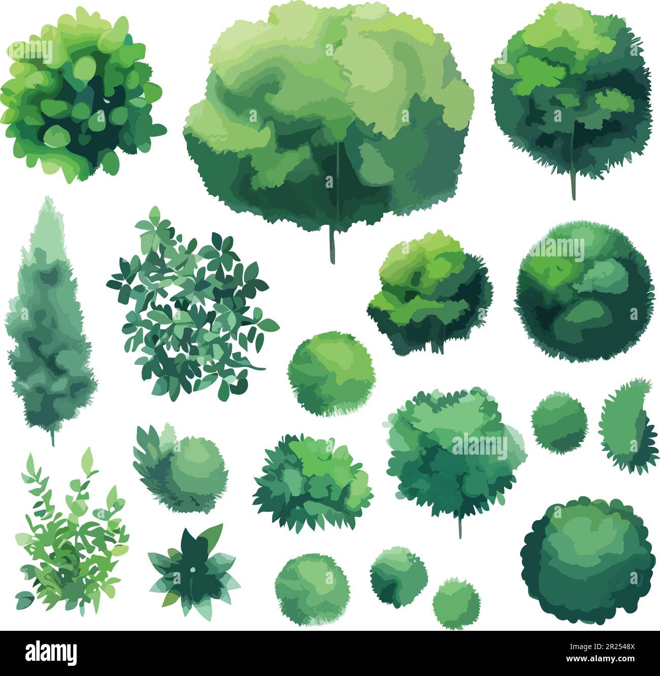 Wonderful trees bushes shrubs top view vector Stock Vector Image & Art ...