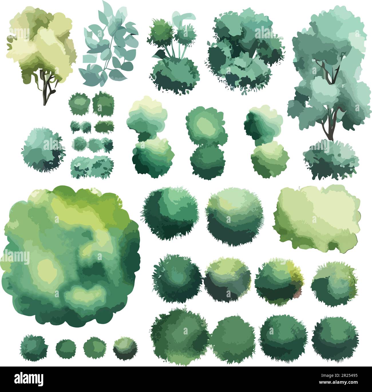 Incredible trees bushes shrubs top view vector Stock Vector Image & Art ...