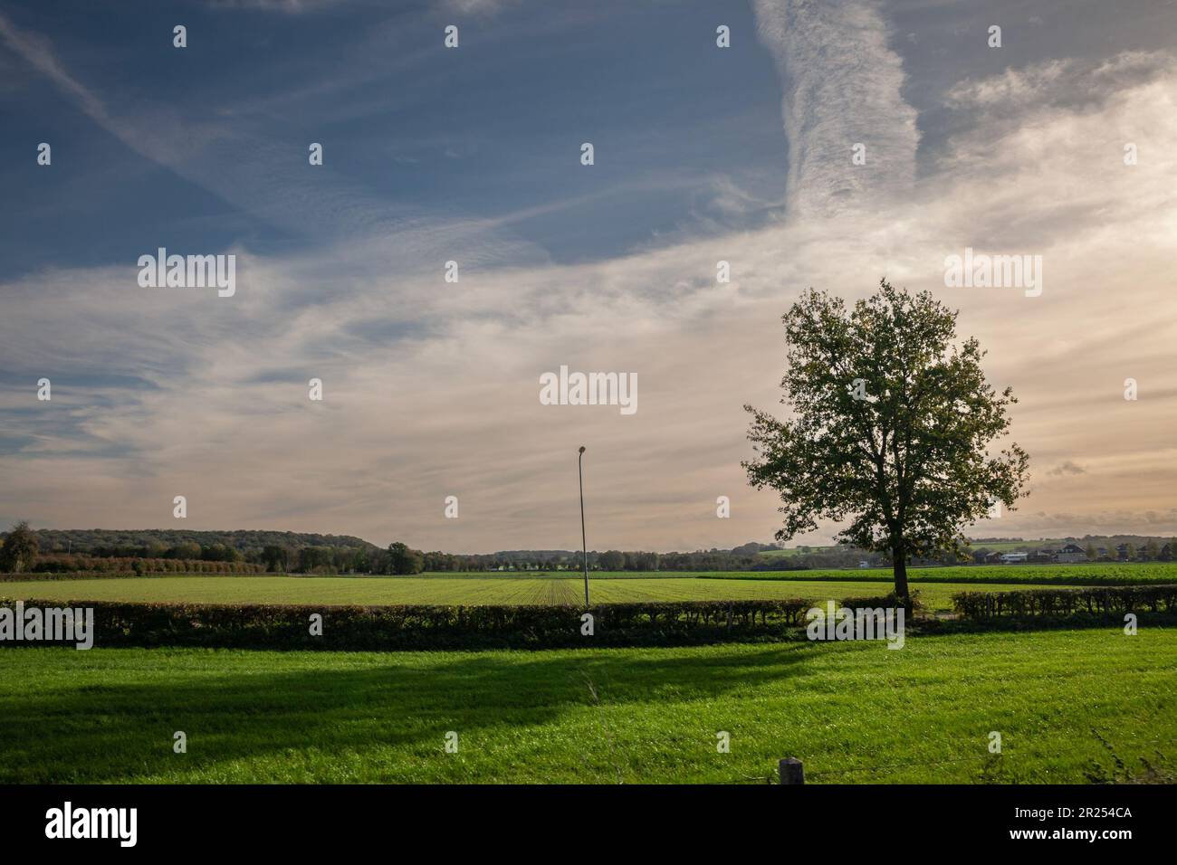 Picture of a limburg landscape in the countryside, with a typical ...