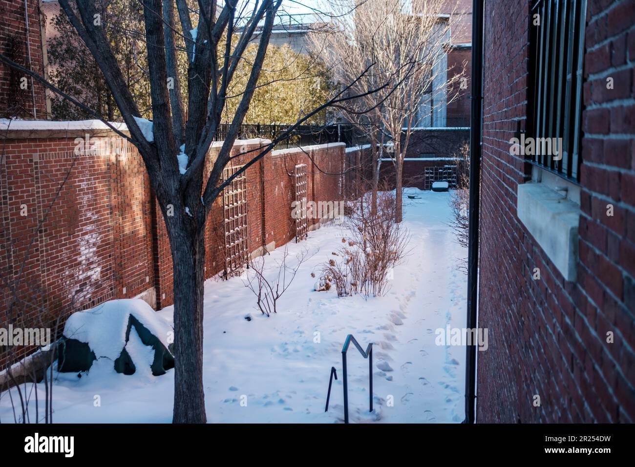 Longfellow garden hi-res stock photography and images - Alamy
